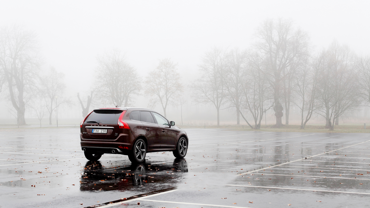 Work I Grow - holistic brand development agency